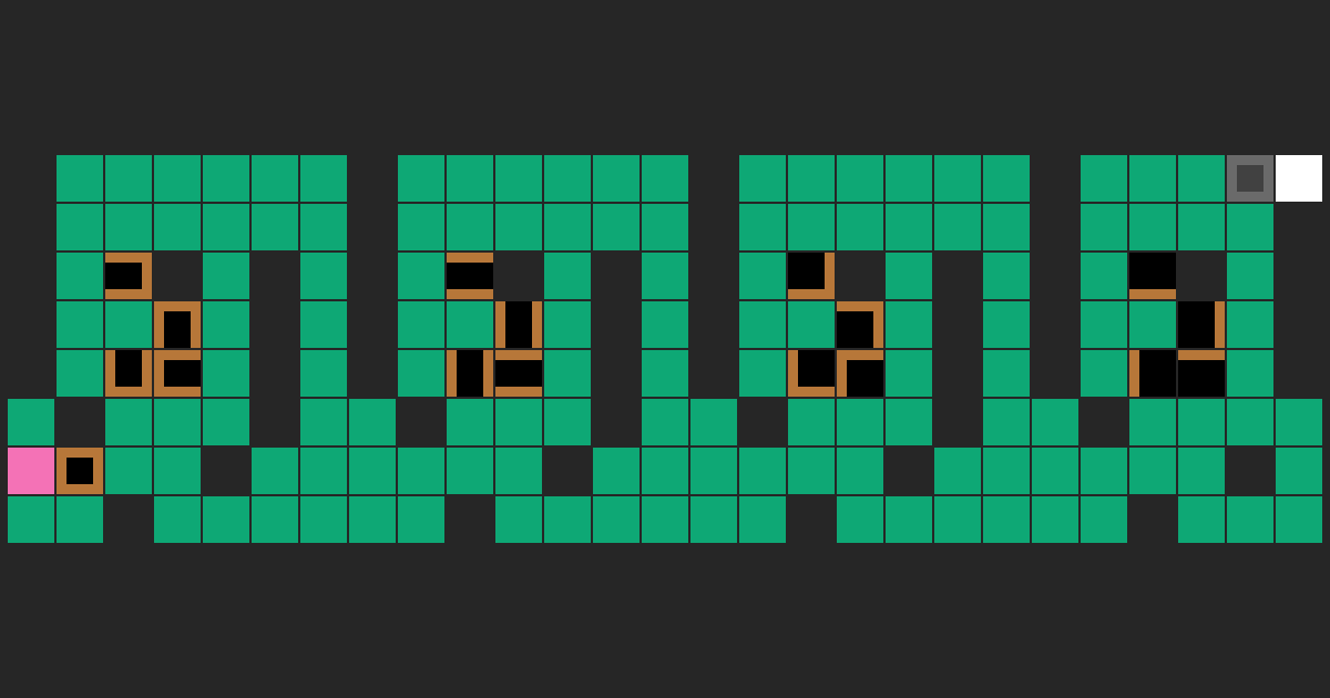 Calcification Pathology